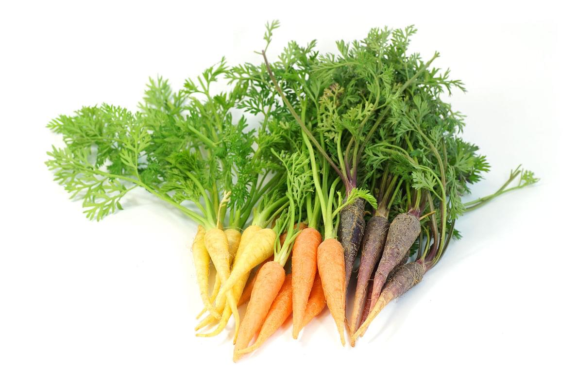 Mini wortelen | JOSA Delivery